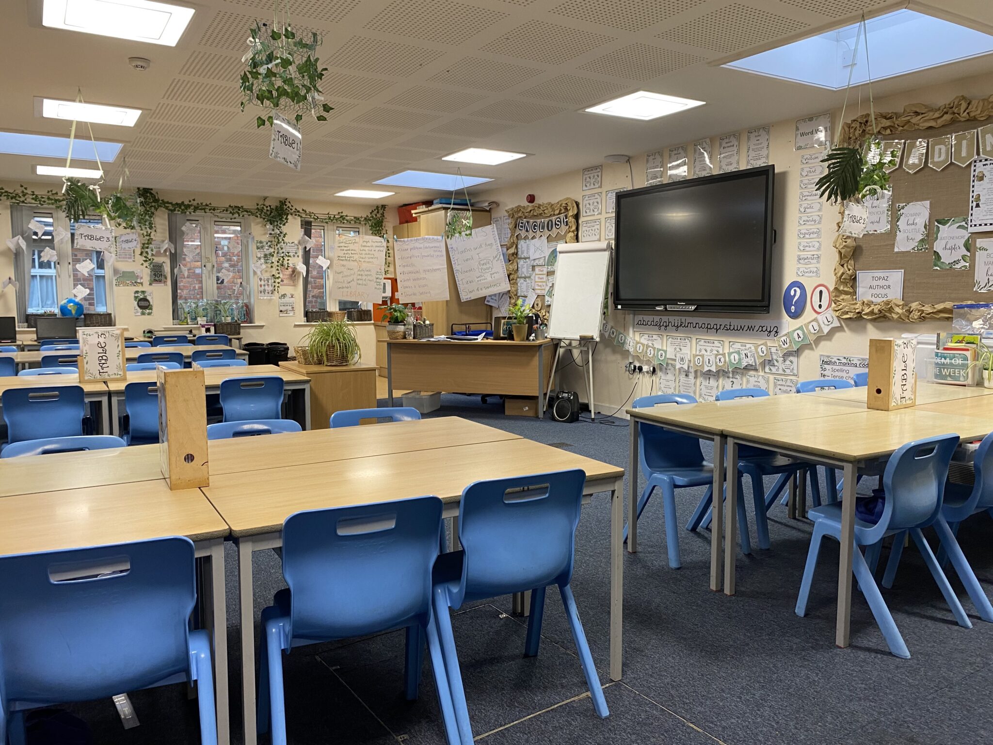 Topaz Class - Sound and District Primary School